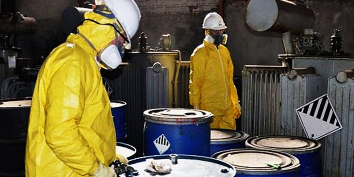 O CASO DO ASCAREL: A IMPORTÂNCIA DAS DECISÕES JUDICIAIS NA PROTEÇÃO ...