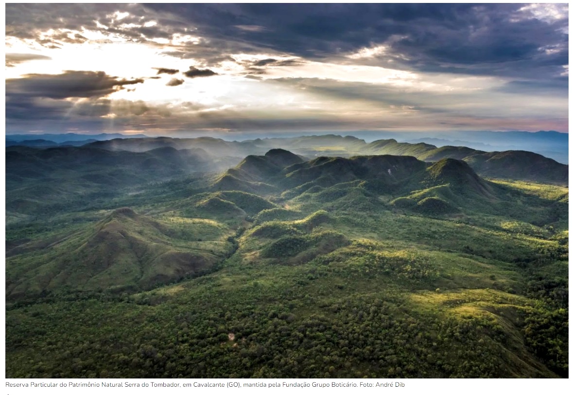 POR QUE O FOGO É IMPORTANTE PARA O CERRADO? – Portal Ambiente Legal